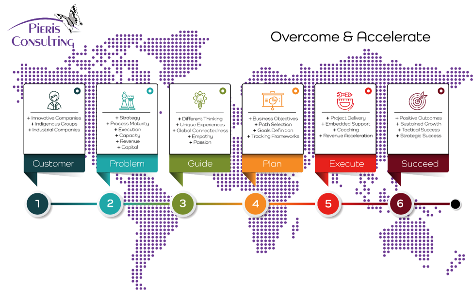 Solutions Development & Project Delivery - Pieris Consulting